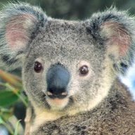 NICE Clinical Knowledge Summary (CKS) on ME/CFS, July 2025 | Science for ME